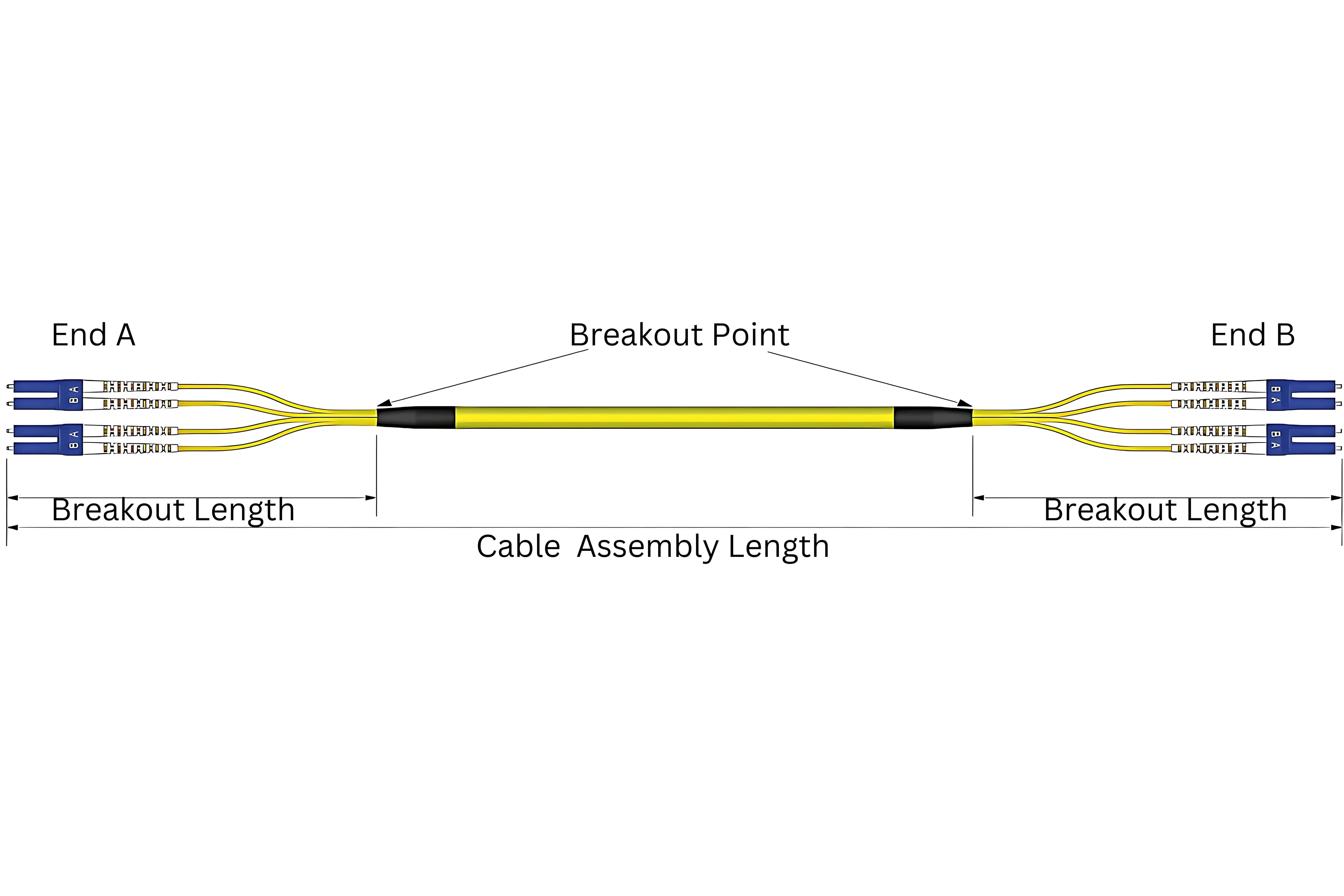 Pre-Term – Peak Fibre