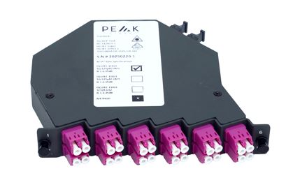 MPO Loaded Cassette 24Port LC OM4 Angled Right B – Peak Fibre